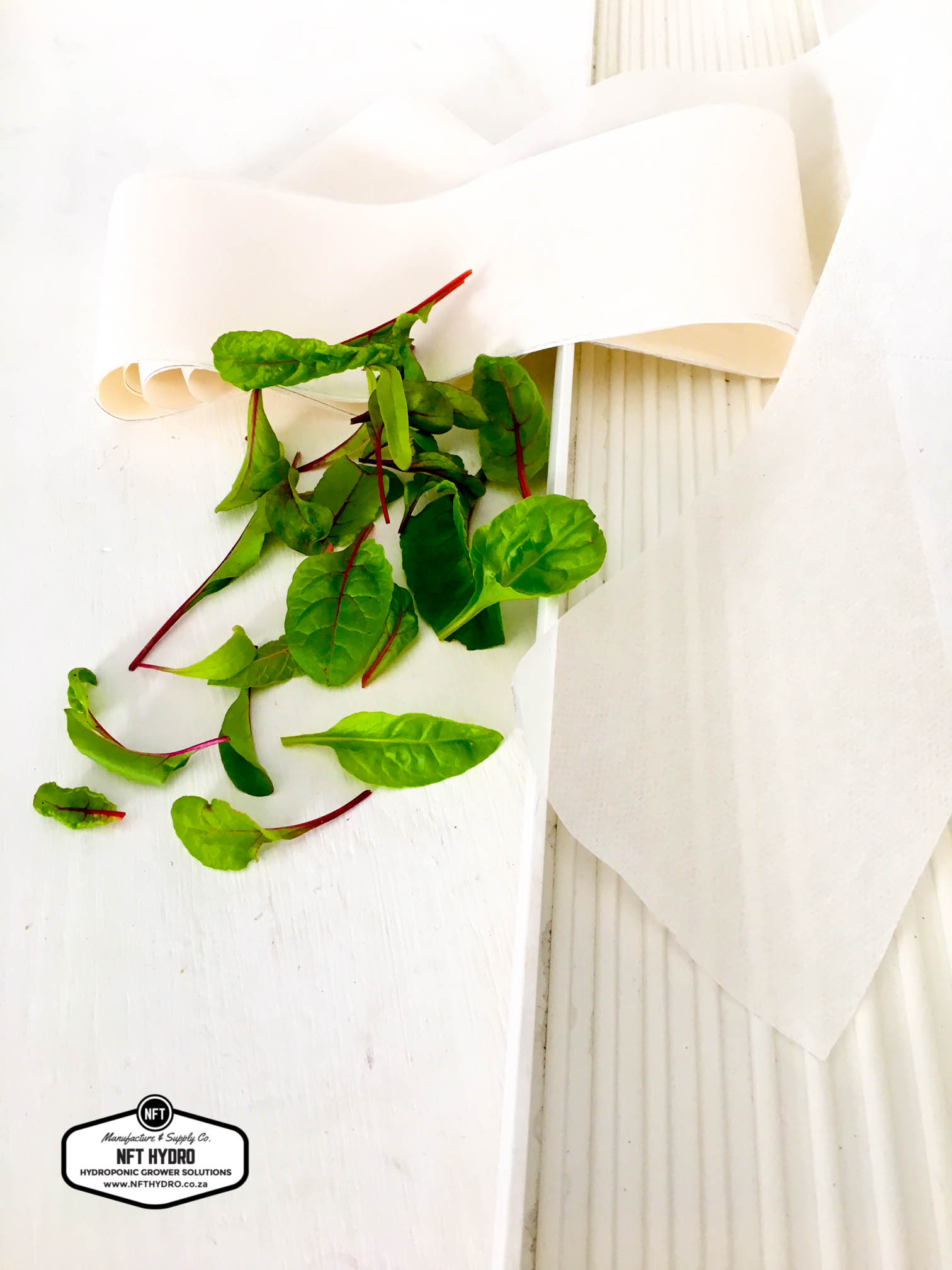 NFT Hydro - Bio-degradable substrate for your Microgreens.